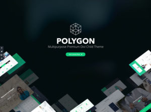 Top 10 Divi Child Themes | B3 Multimedia Solutions