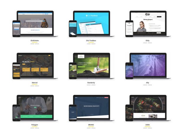 Top Reasons Why You Should Use Divi For Your Website | B3 Multimedia Solutions