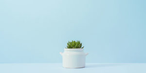 20 Brilliant And Helpful Graphic Design Tips For Non-Designers | B3 ...