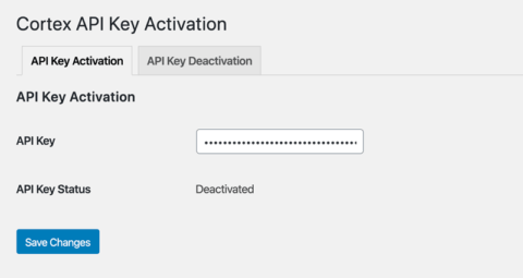 Cortex Documentation | B3 Multimedia Solutions