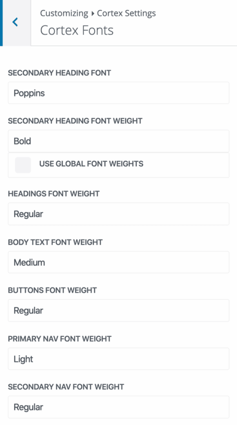 Cortex Documentation | B3 Multimedia Solutions